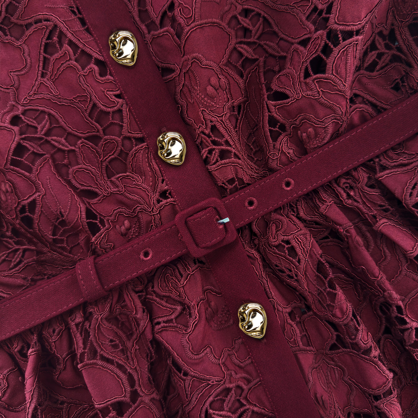 Burgundy Lace Collared Midi Dress – self-portrait